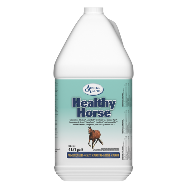 HEALTHY HORSE™ – Equine Solutions, Naturally